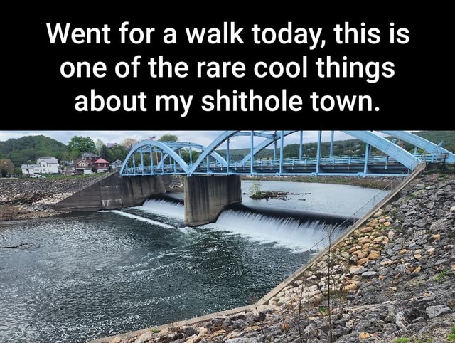 Went for a walk today, this is one of the rare cool things about my ...