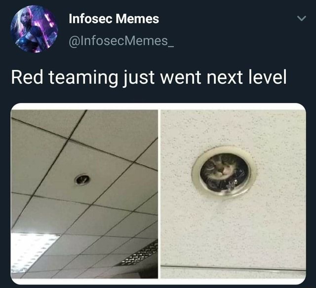 Infosec Memes @InfosecMemes_ Red teaming just went next level - iFunny
