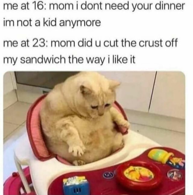 Me at 16: mom i dont need your dinner im not a kid anymore me at 23: mom did u cut the crust off ...
