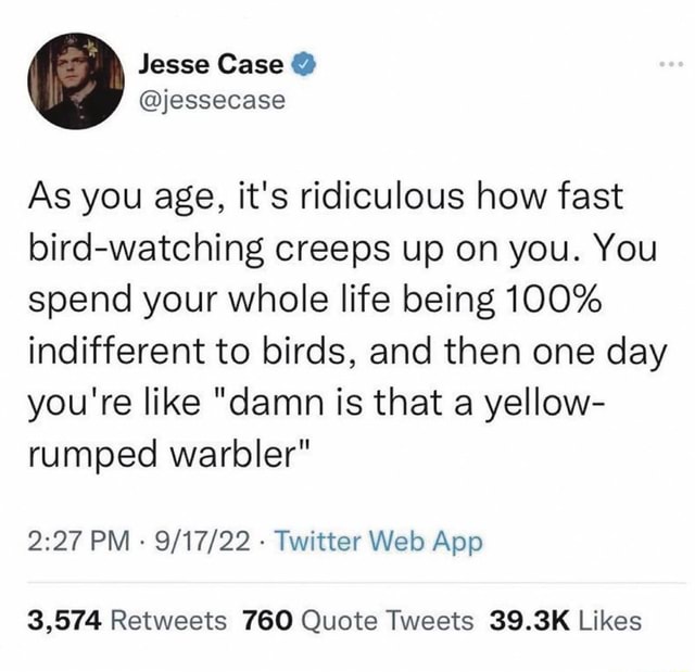 Jesse Case As you age, it's ridiculous how fast bird-watching creeps up ...