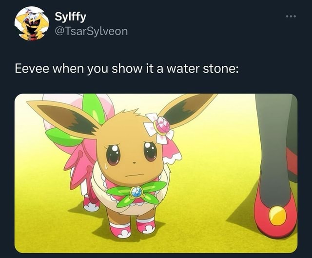 Ta water stone: Eevee when you show - iFunny