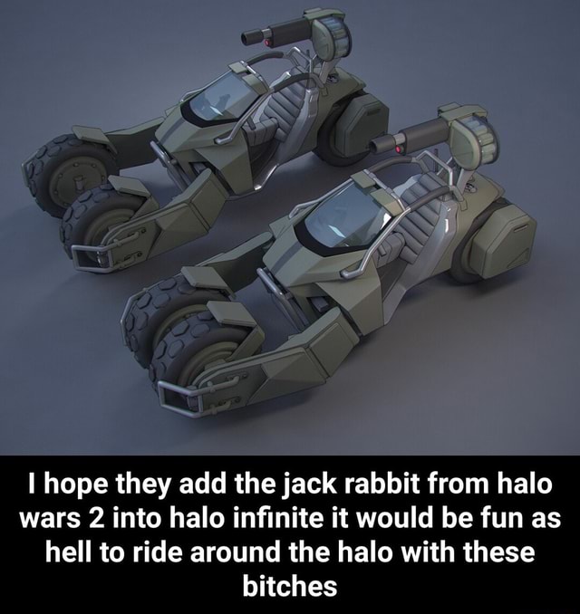 I hope they add the jack rabbit from halo wars 2 into halo infinite it ...