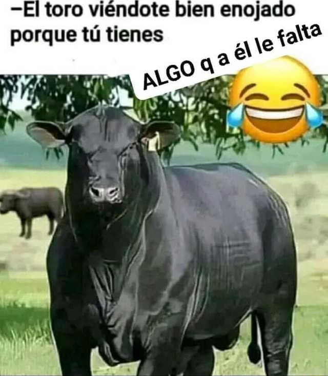 -El toro viêndote bien enojac porque tú tienes - iFunny
