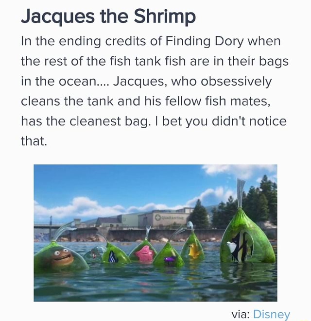 Jacques the Shrimp In the ending credits of Finding Dory when the rest ...