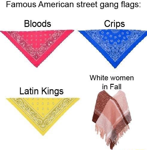 Famous American street gang flags: Bloods Crips White women in Fall ...