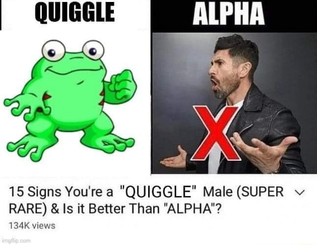 15 Signs You're a "QUIGGLE" Male (SUPER v RARE) & Is it Better Than ...