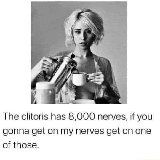 LA The clitoris has 8,000 nerves, if you gonna get on my nerves get on one of those. - iFunny