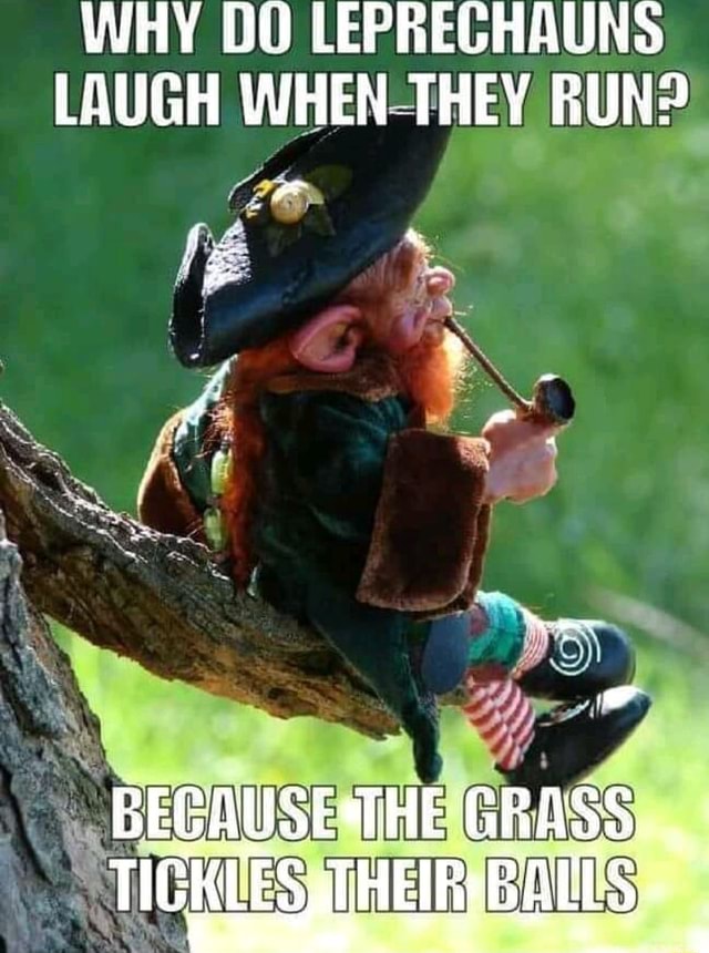 WHY DO LEPRECHAUNS LAUGH WHEN THEY RUN? BECAUSETHE GRASS. TIGKTES ...