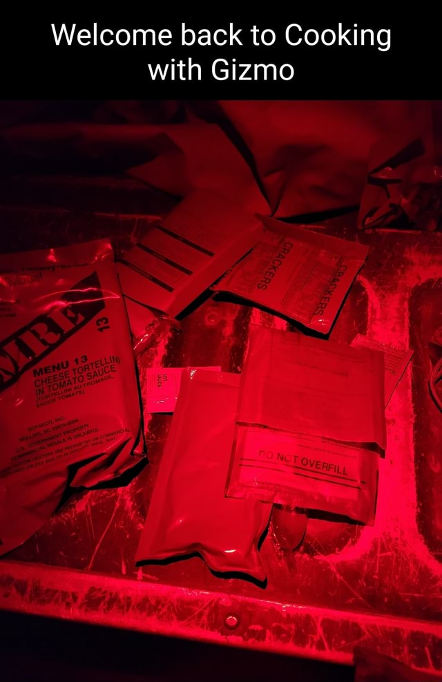 Welcome back to Cooking with Gizmo - iFunny