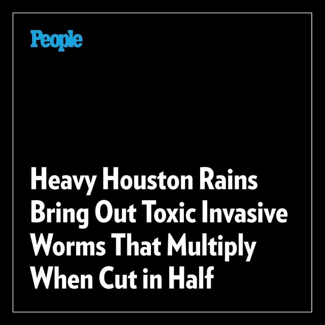 Houston residents are bracing for invasive and toxic hammerhead ...