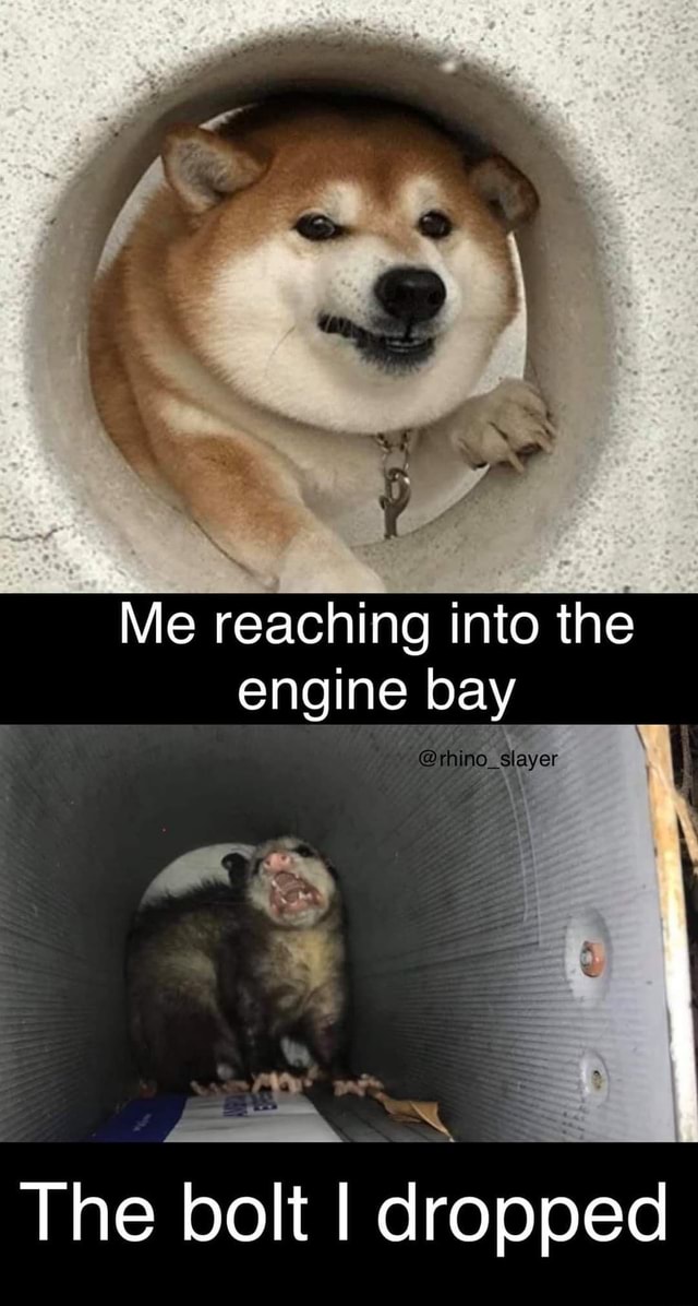 Me reaching into the engine bay The bolt I dropped - iFunny