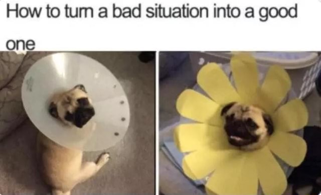 How to tum a bad situation into a good one - iFunny