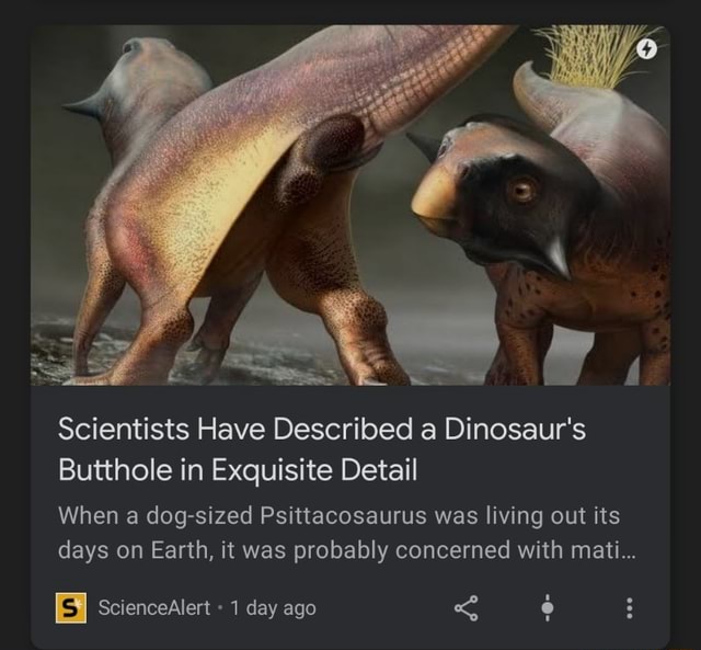 LA Scientists Have Described a Dinosaur's Butthole in Exquisite Detail ...