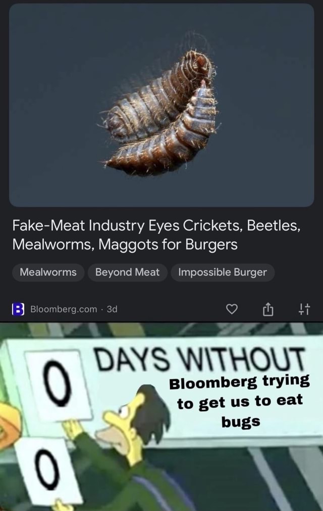 Fake-Meat Industry Eyes Crickets, Beetles, Mealworms, Maggots for ...