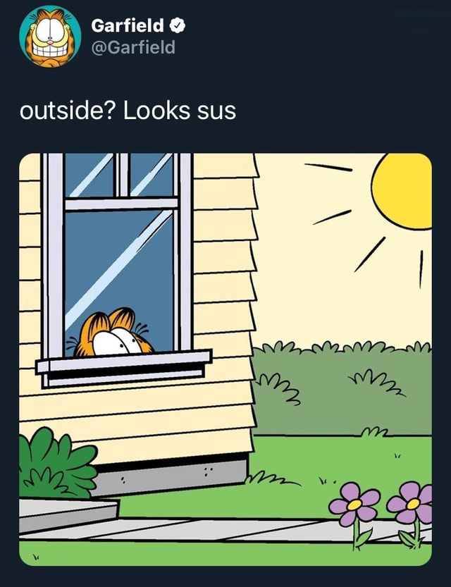 Garfield @ @Garfield outside? Looks sus AVA - i! ax as - iFunny