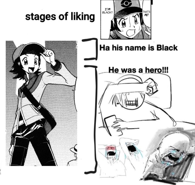 Stages of liking Ha his name is Black He was a heroll! - iFunny