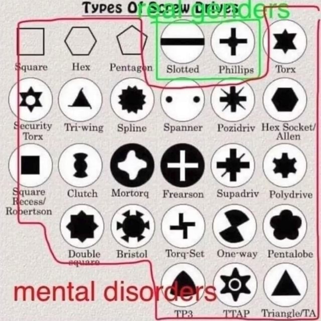 Types Of Screw Driven Hex Pentag Slotted Phillips Tri-wing Spline ...