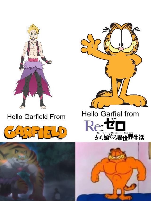 Hello Garfield From Hello Garfiel from - iFunny