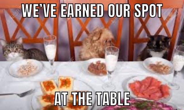 WE'VE EARNED OUR SPOT AT THE TABLE - iFunny