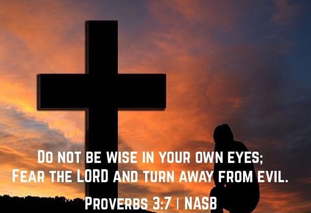 NOT BE WISE IN YOUR OWN EYES; FEAR THE LORD AND TURN AWAY FROM EVIL ...