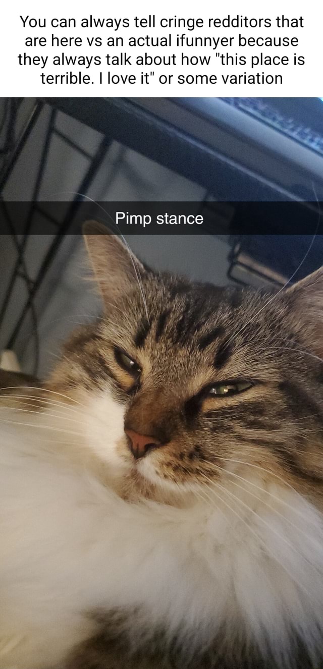 You can always tell cringe redditors that are here vs an actual ...