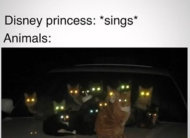 Disney princess: *sings* Animals: - iFunny