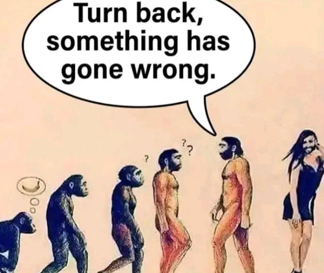 Turn back, something has gone wrong. I EX - iFunny