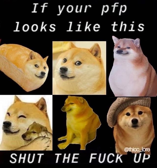 If your pfp looks like this SHUT THE FUCK UP - iFunny