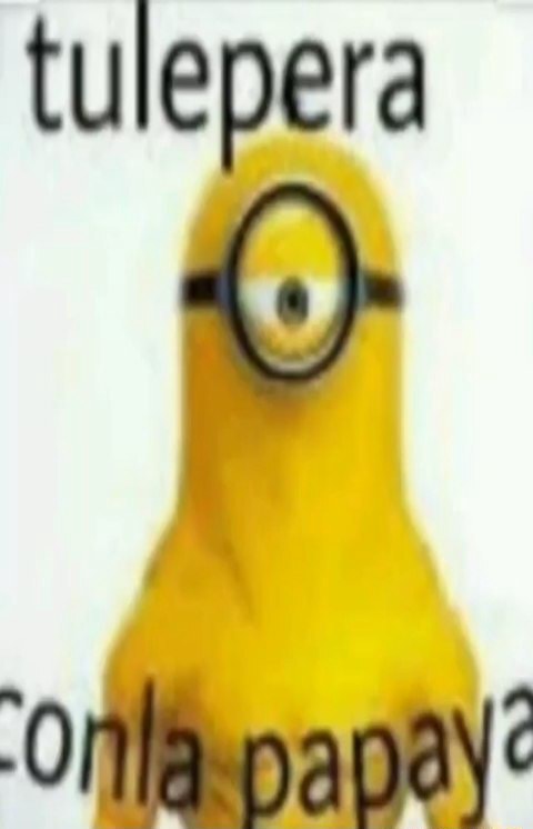 Tulepera conla papaya #shitpost #shitposting #darkmemes #dankmemes # ...