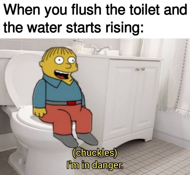 When You Flush The Toilet And The Water Starts Rising Danger Ifunny