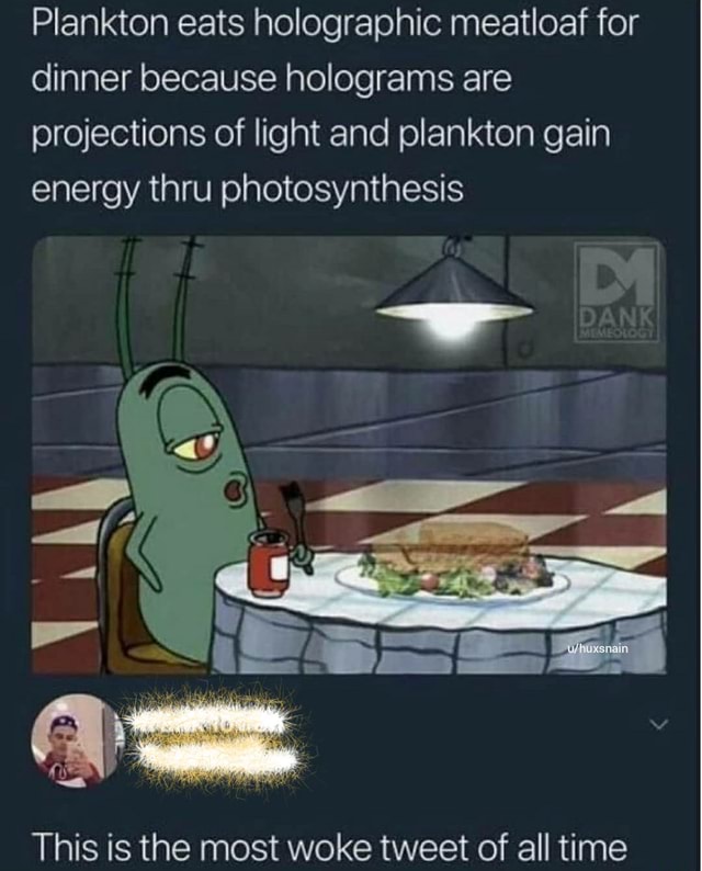 Plankton eats holographic meatloaf for dinner because holograms are ...