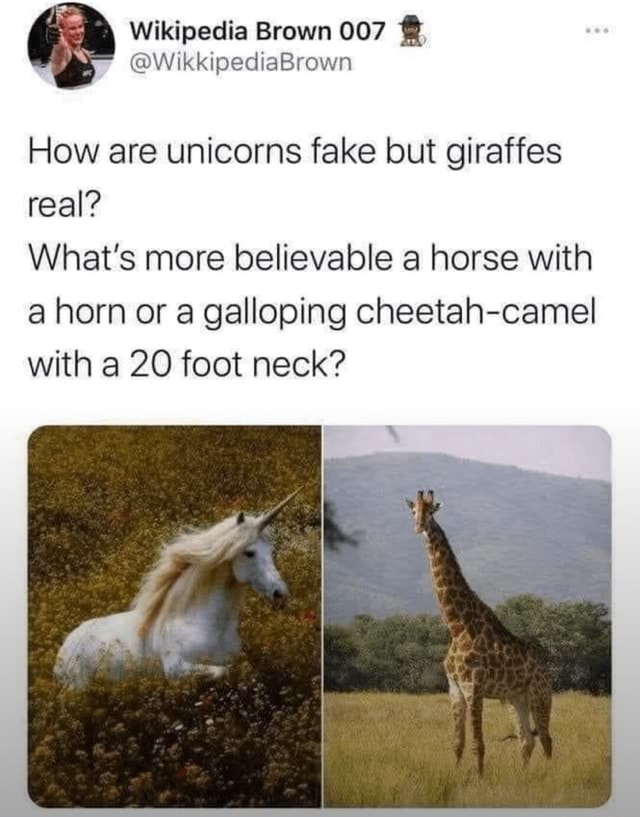 How are unicorns fake but giraffes real? What's more believable a horse ...