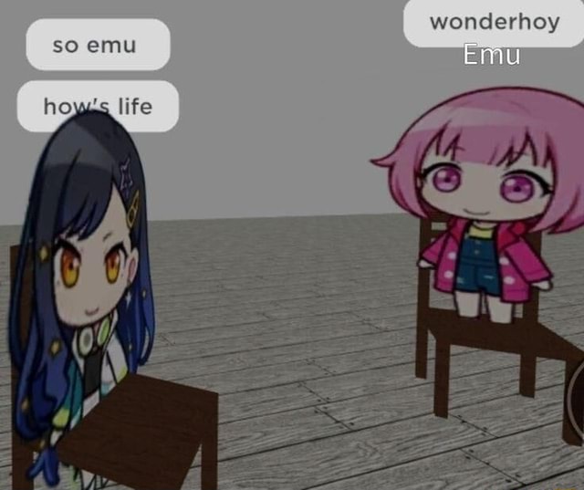 Wonderhoy so emu life - iFunny