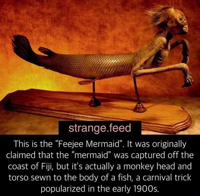 This is the “Feejee Mermaid". It was originally claimed that the ...