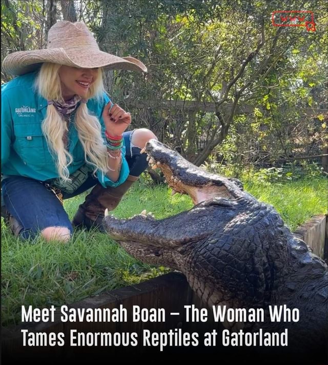 Meet Savannah Boan The Woman Who Tames Enormous Reptiles at Gatorland ...