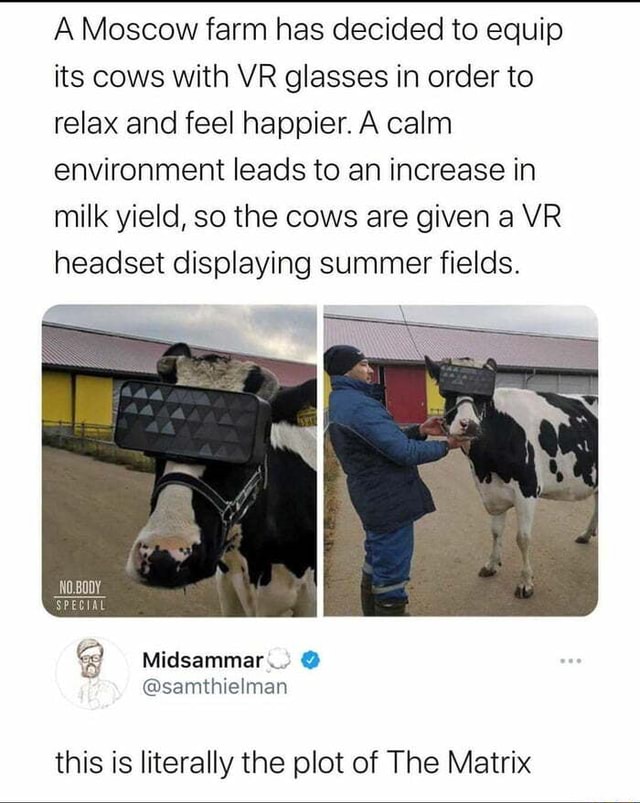 Russian matrix - A Moscow farm has decided to equip its cows with VR ...