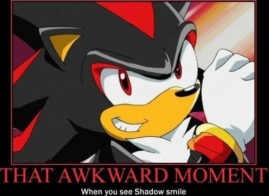 NS Z THAT AWKWARD MOMENT When you see Shadow smile - iFunny