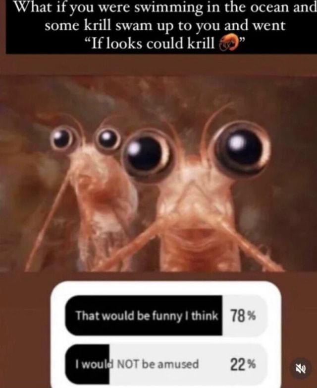 What if you were swimming in the ocean and some krill swam up to you ...