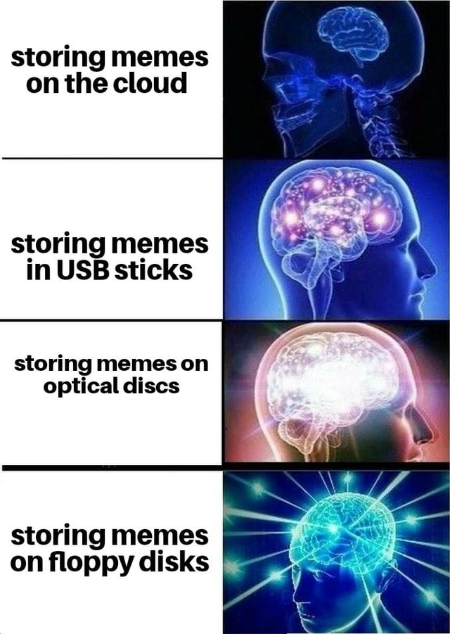 Storing memes on the cloud storing memes in USB sticks storing memes on ...