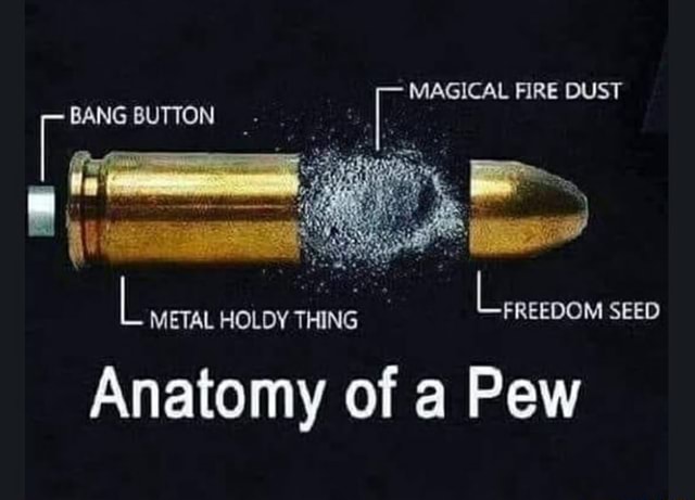 Anatomy of the American pew - a Pew Anatomy of - iFunny