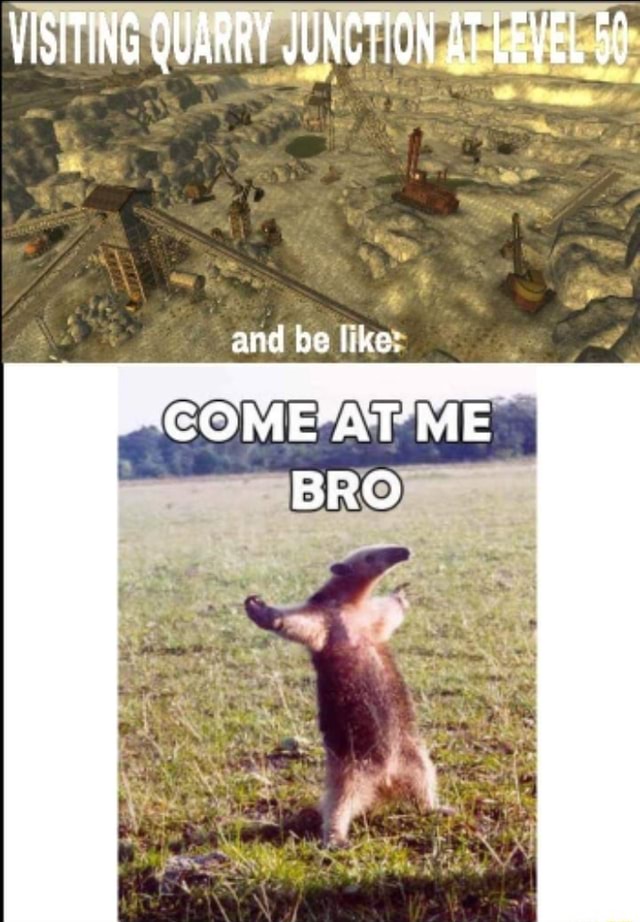 VISITING QUARRY JUNCTION AT LEVEL and be like: - iFunny