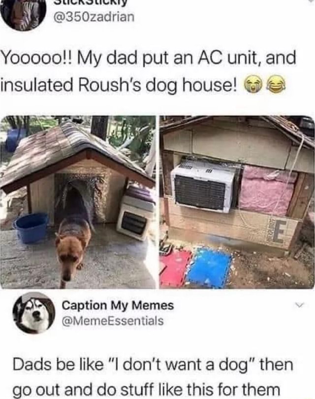 IN Yooooo!! My dad put an AC unit, and insulated Roush's dog house ...