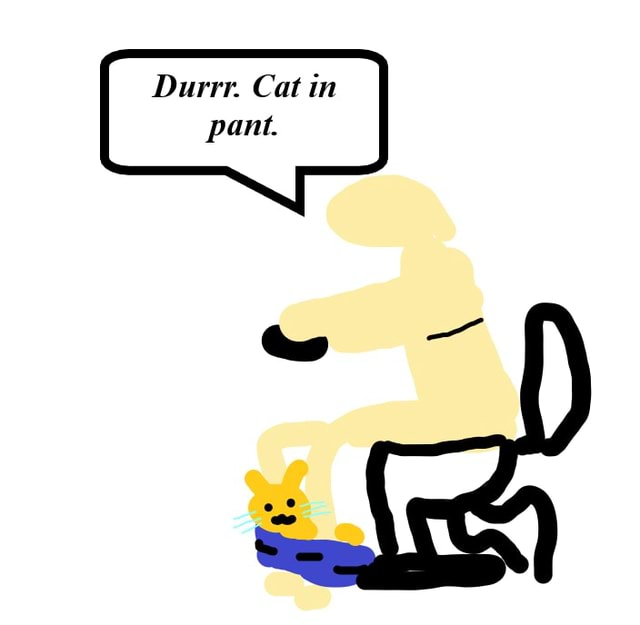Durrr. Cat in pant. - iFunny