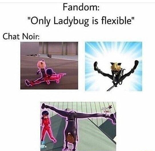 Fandom: "Only Ladybug is flexible" Chat Noir: - iFunny