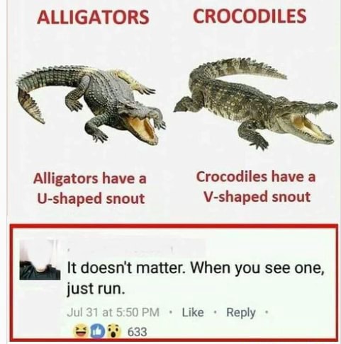 ALLIGATORS CROCODILES Alligators have a Crocodiles have a U-shaped ...