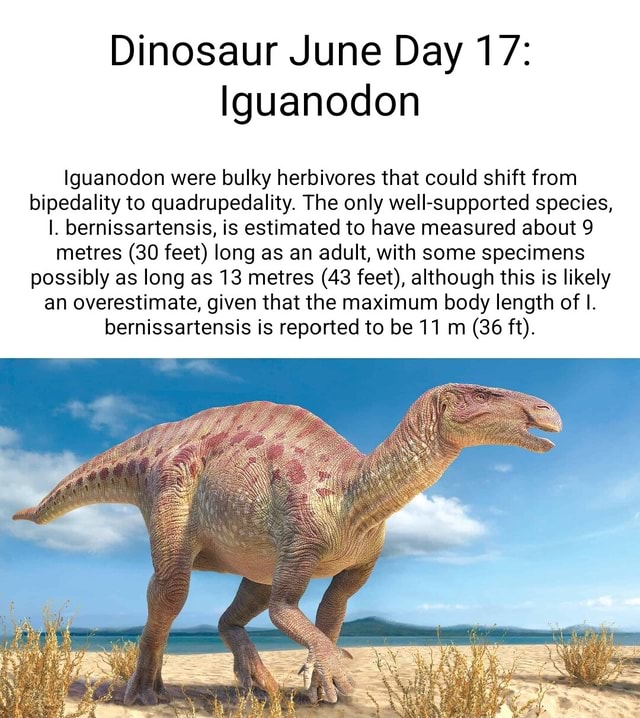 Dinosaur June Day 17: Iguanodon Iguanodon were bulky herbivores that ...