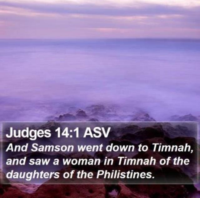 Judges ASY And Samson went down to Timnah, and saw a woman in Timnah of ...