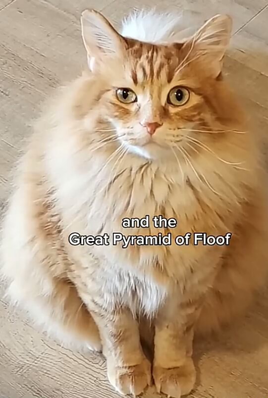 _ and the Great Pyramid of Floof - iFunny