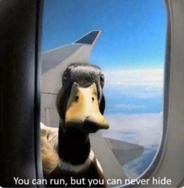 You can run, but you can pever hide - iFunny