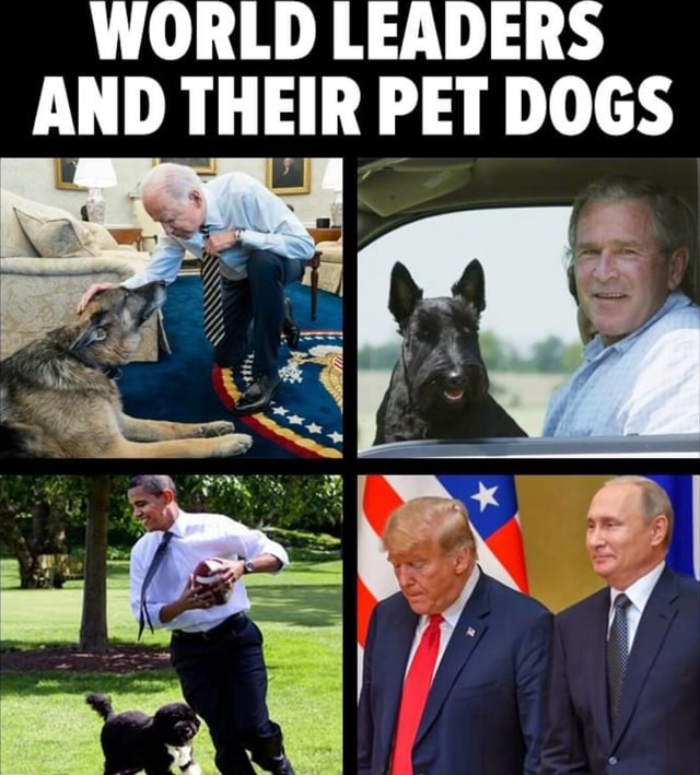 WORLD LEADERS AND THEIR PET DOGS Bey - iFunny